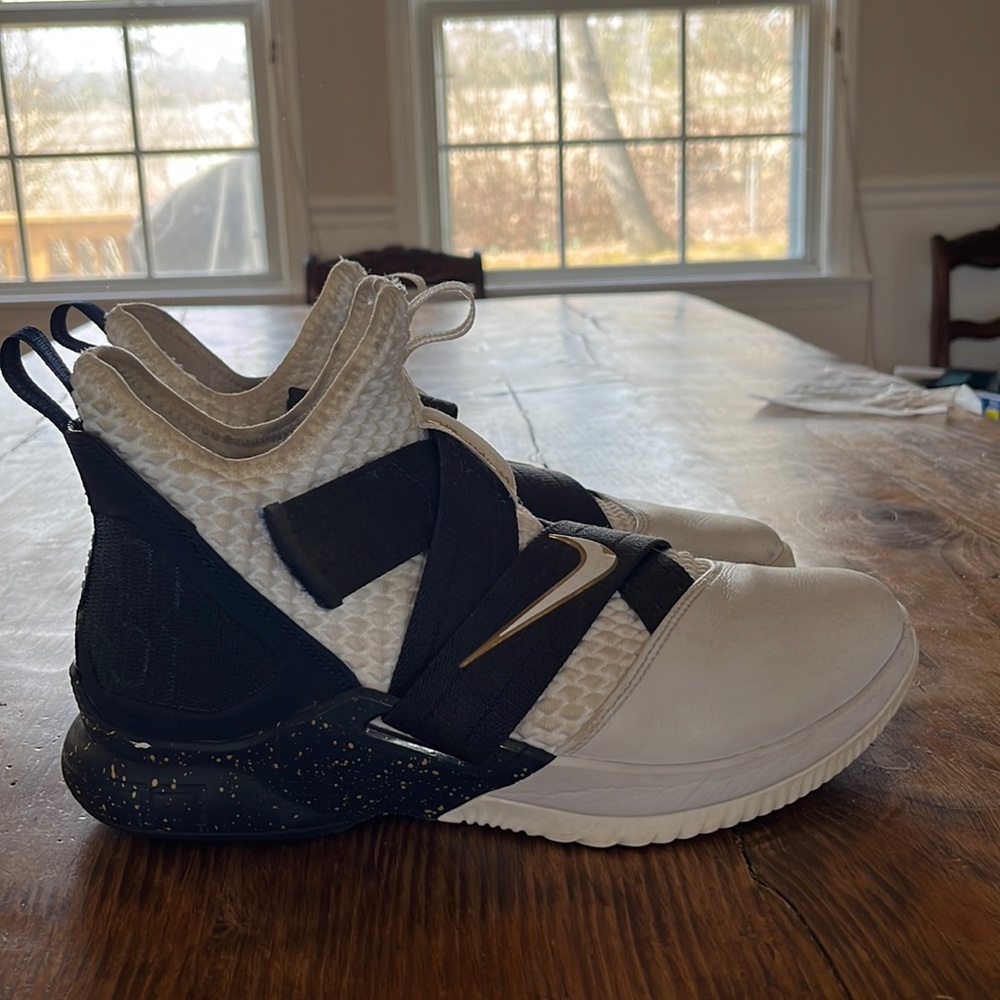 Nike Lebron Witness 7 - Gem